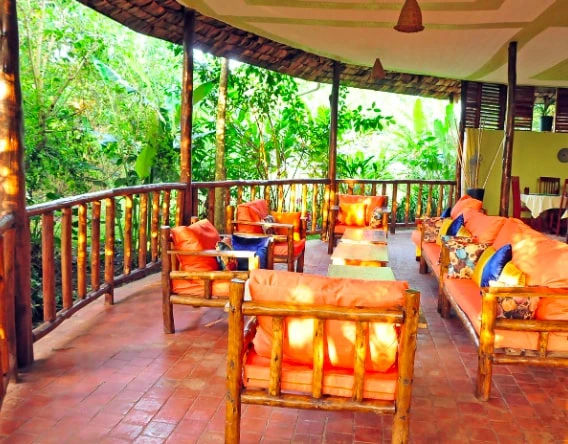 Kibale Forest Lodge | Brilliant Uganda